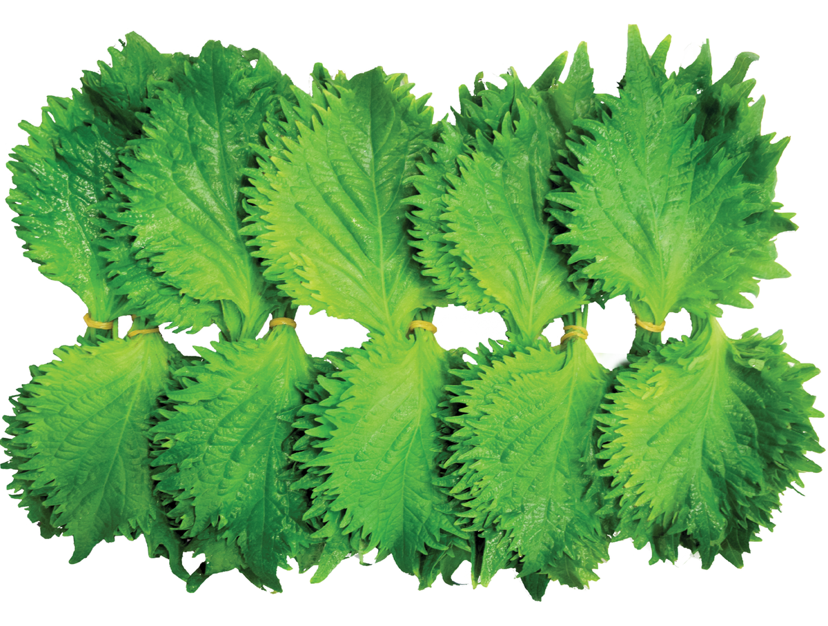 Ooba (Perilla Leaves)/TR – True World Foods DC